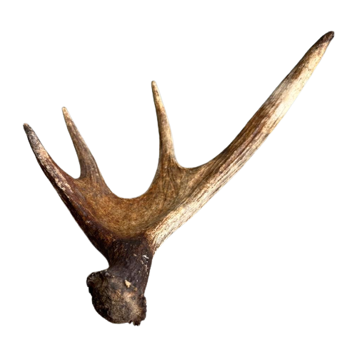 Mid-Century Overige accessoires Aardewerk Bruin bij Reliving