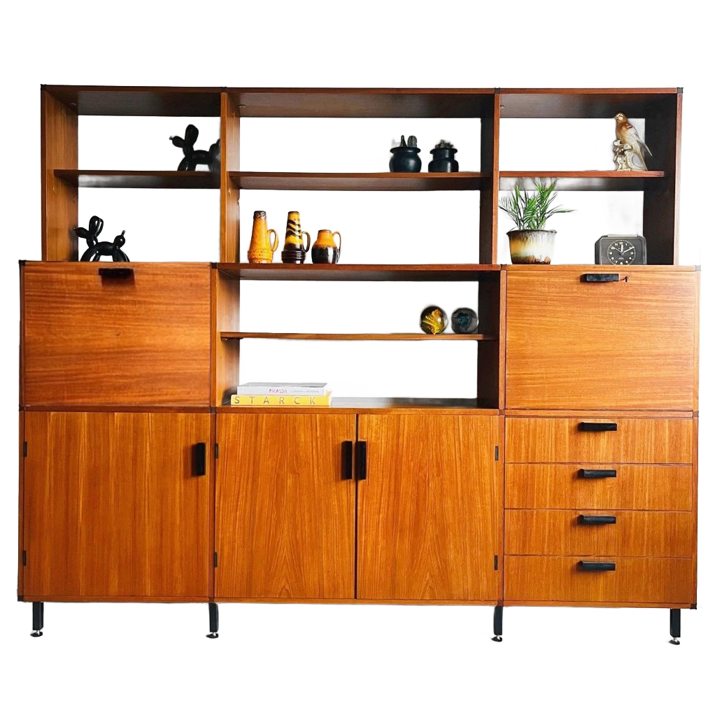Scandinavisch Pastoe Wandsysteem Teak Black bij Reliving