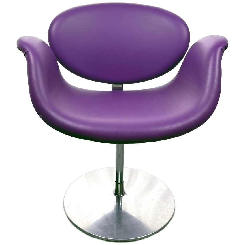 Artifort Eetkamerstoel Metal Silver-coloured bij Reliving