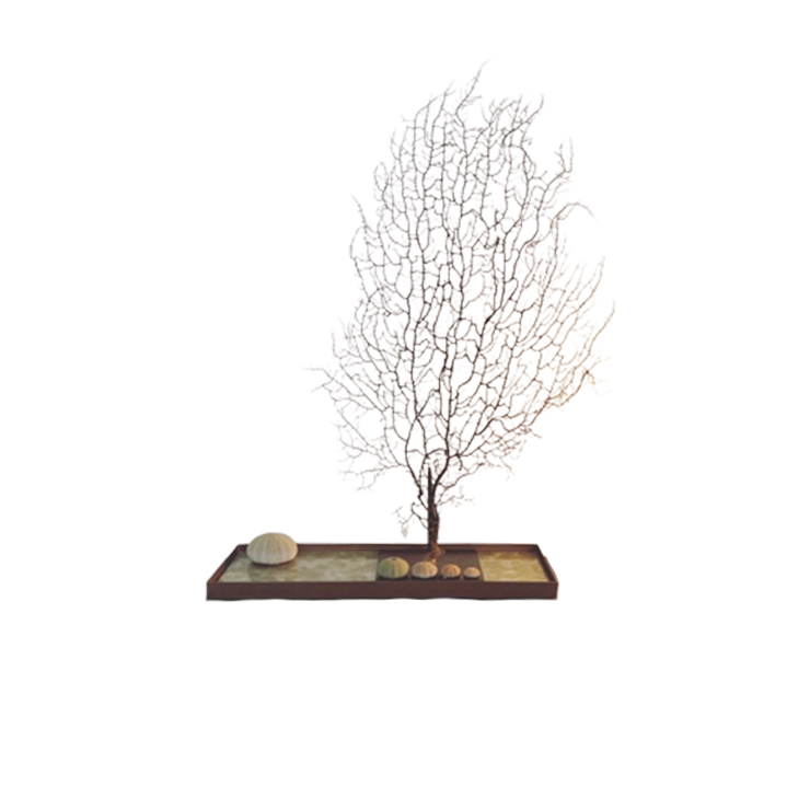 Unieke Zeewaaier Xl | Overig | Reliving