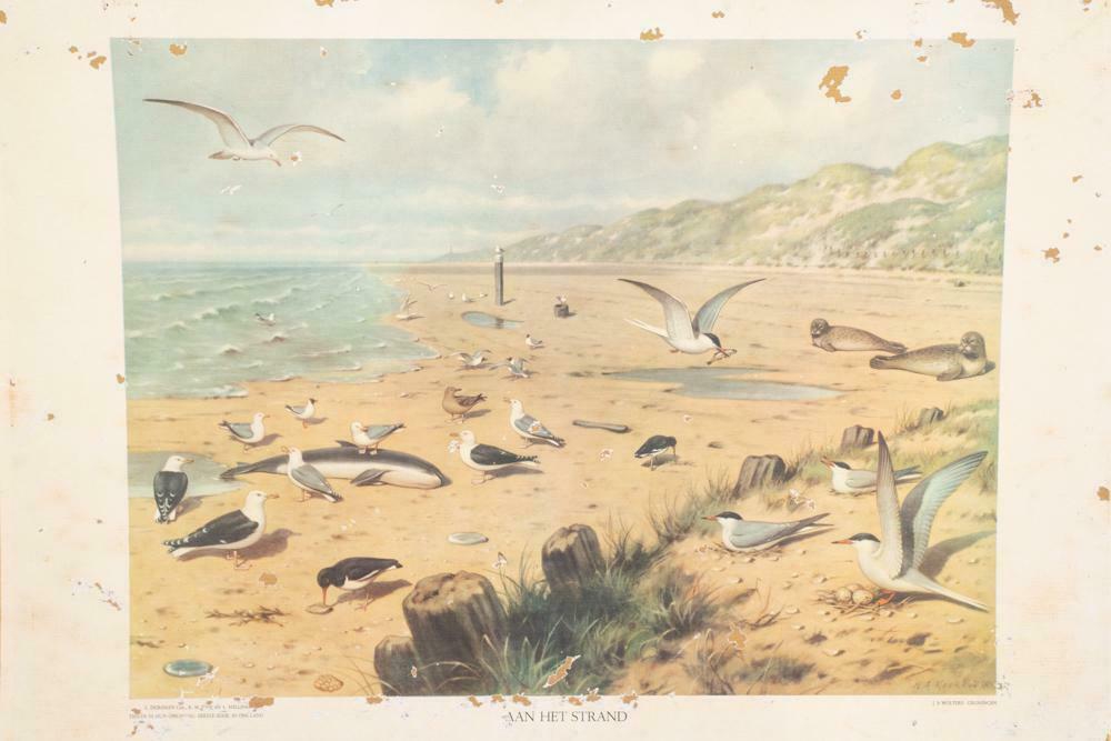 Bekijk Vintage Schoolplaat 'Aan De Noordzee’ op Reliving