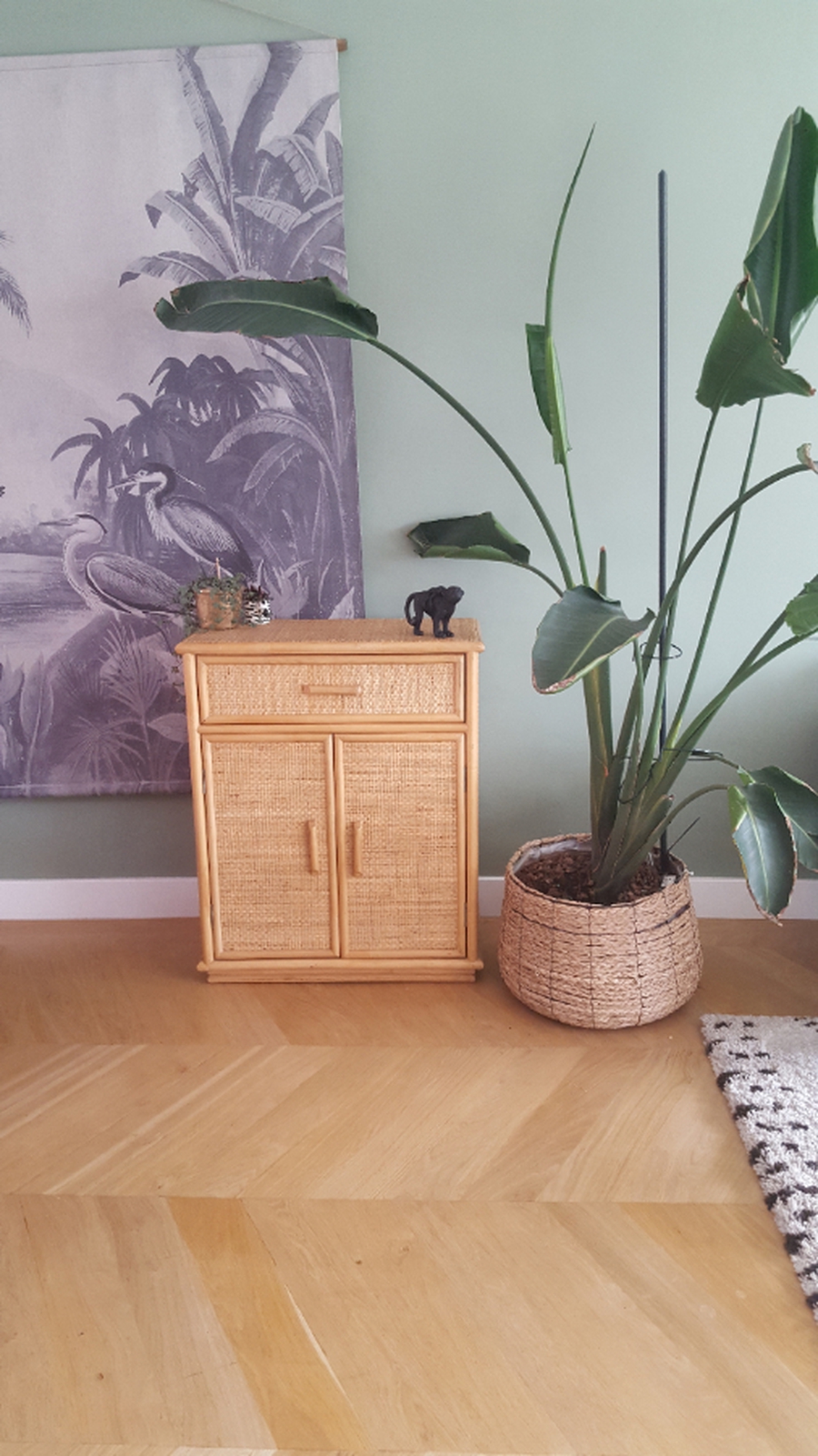 Bekijk Rotan Kast op Reliving