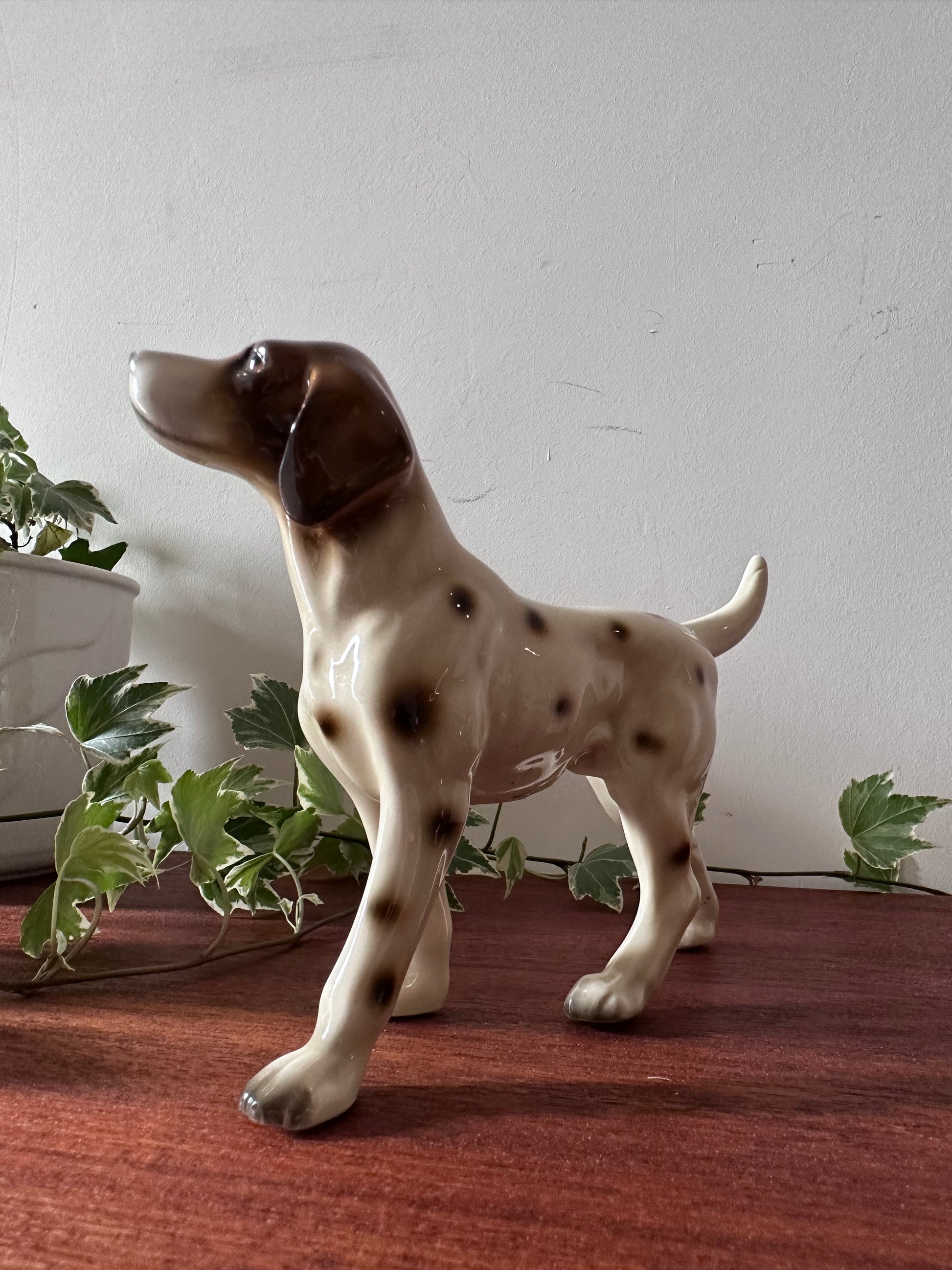 Bekijk Porseleinen Beeldje Hond Pointer op Reliving