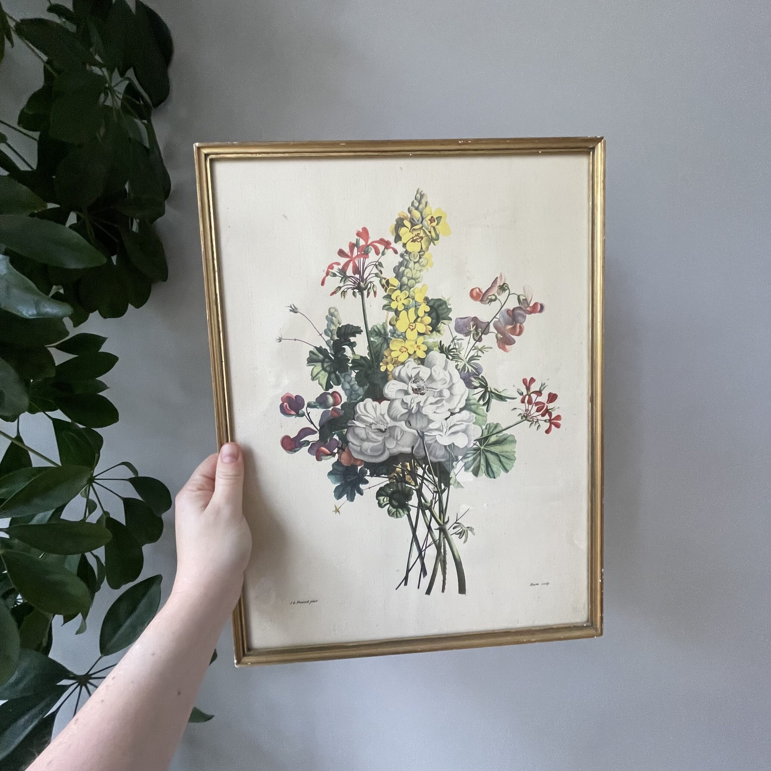 Bekijk Vintage Prent In Lijst Boeket op Reliving 🤩