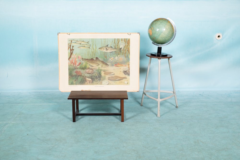 Bekijk Vintage Schoolplaat ‘In De Noordzee’ Vissen Poster Wolters op ...